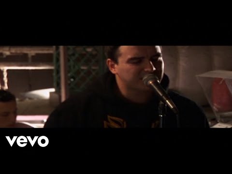Volován - Monitor