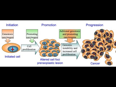 Definition of carcinogenesis terms; Neoplasm, Benign tumour and Malignant tumour