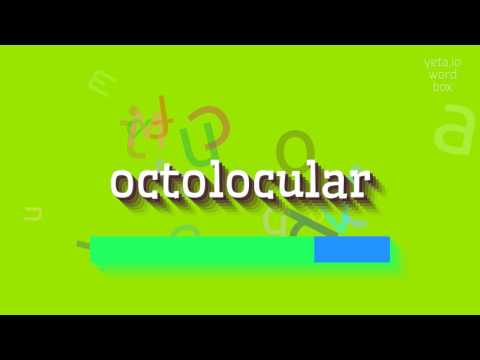 OCTOLOCULAR - HOW TO PRONOUNCE IT?