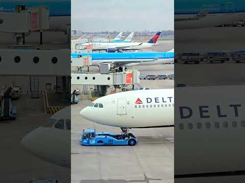 Choosing Sides: Delta vs. KLM – A Friendly Aviation Rivalry