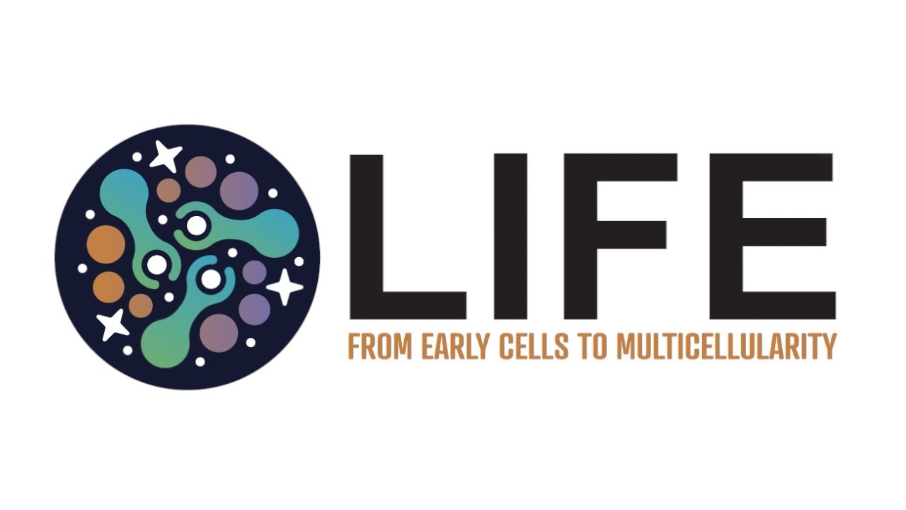 Introducing the LIFE Research Coordination Network