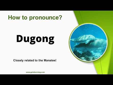 How to pronounce Dugong in English Correctly