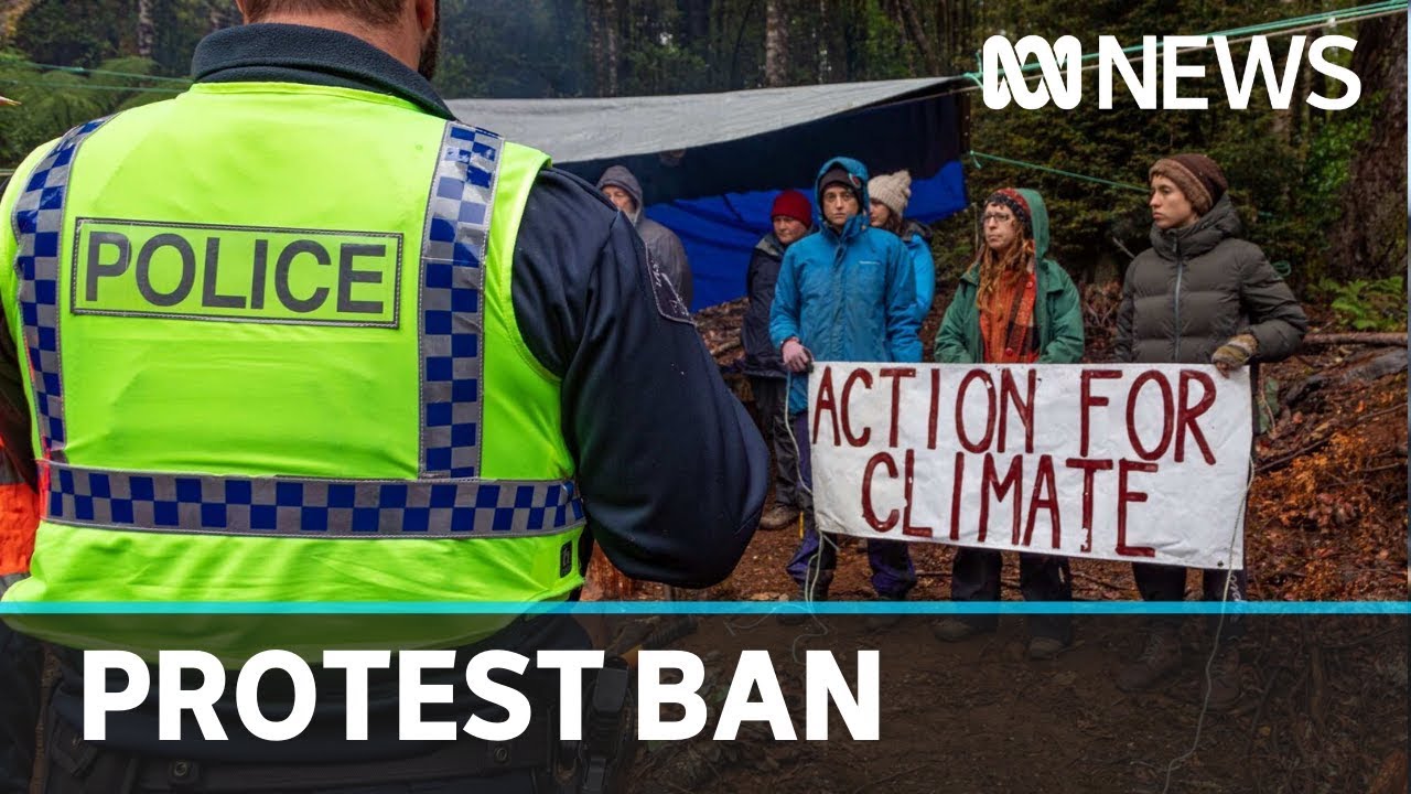 Bob Brown Foundation protesters banned from Tasmanian forest | ABC News