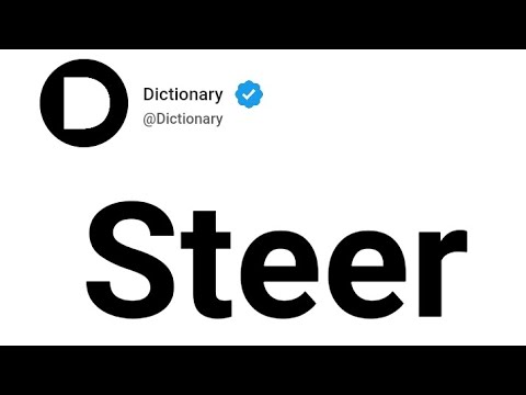 Steer Meaning In English