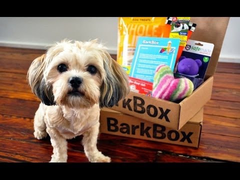 FREE BARKBOX FOR YOUR DOGGY