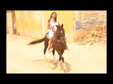 CABALGAR A LA ORILLA DEL MAR TAMBIÉN ES POETIZAR: Dina Luz Pardo Olaya