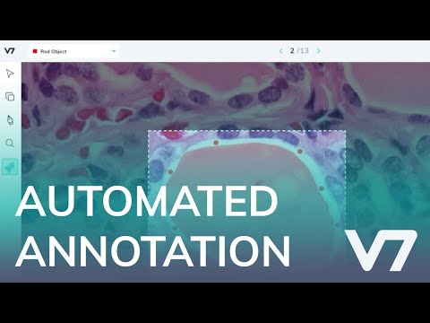 V7 Darwin - (OLD) Auto-Annotate at a glance