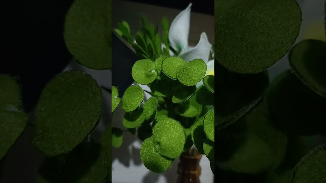 Tangkai bunga flanel untuk bouquet. #shorts #bouquet #flanel