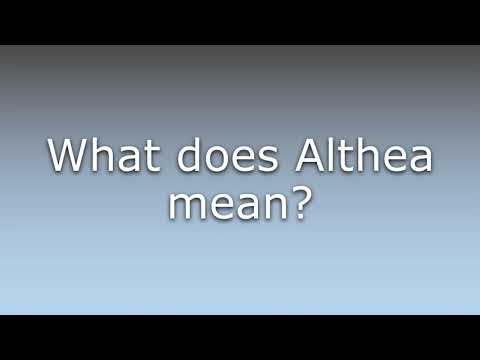 What does Althea mean?