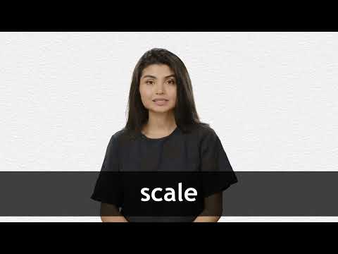 SCALE definition and meaning | Collins English Dictionary
