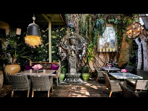 TOUR DE VANDERPUMP! (My reviews of SUR, SOMETHING ABOUT HER, and TOM TOM)