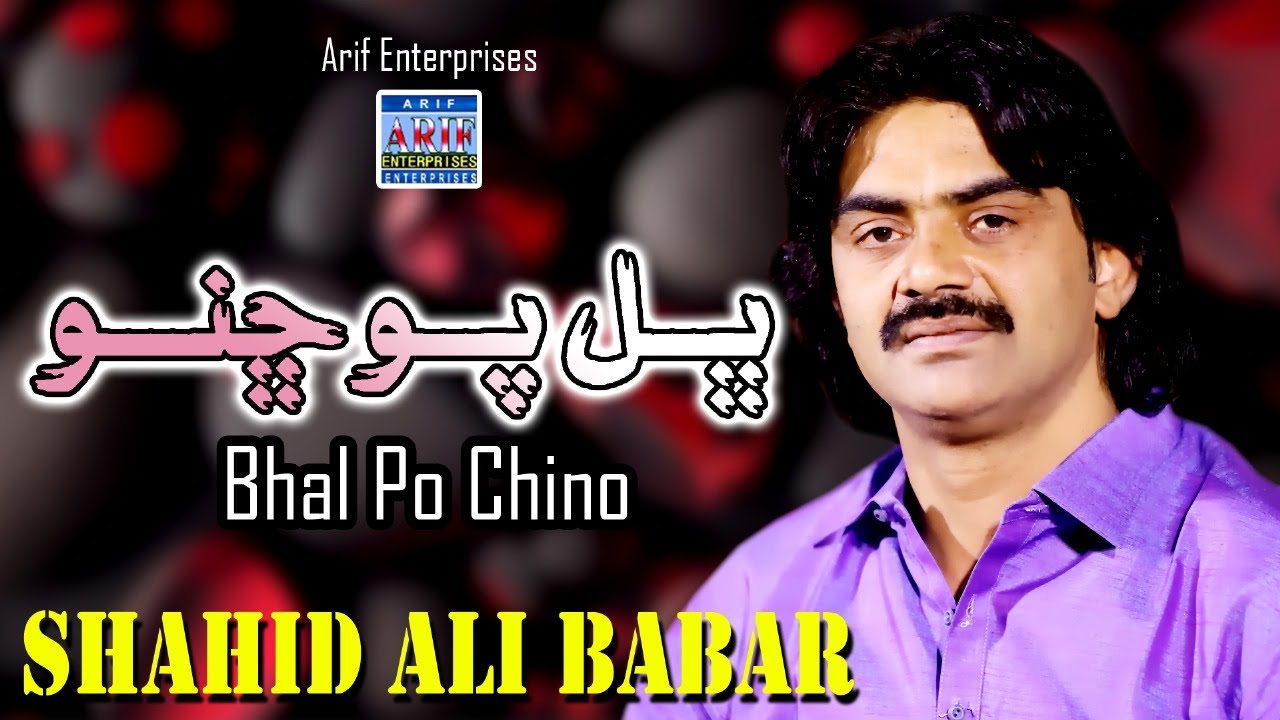 Bhal Po Chino by Shahid Ali Babar Chart Achievements | Popnable