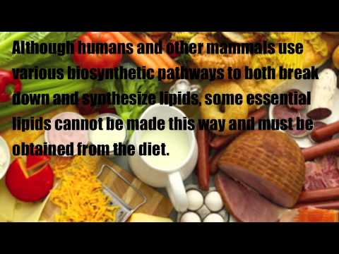 Lipids- FUN EASY WAY TO STUDY!! – biochem lovers unite