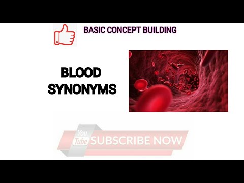Blood synonyms concept