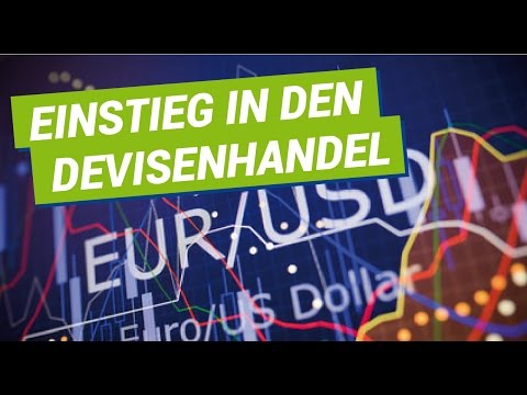 Forex Trading - Einstieg in den Devisenhandel