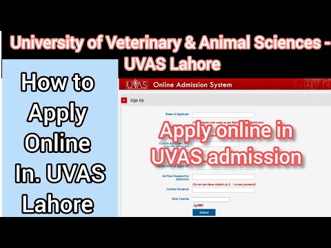 How to Apply University Of Veterinary And Animal Sciences Admission 2025 | UVAS admission 2025