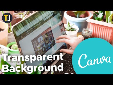 How to Make the Background Transparent in Canva