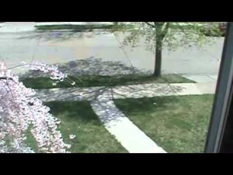 21255 Redmond  Eastpointe, MI  48021