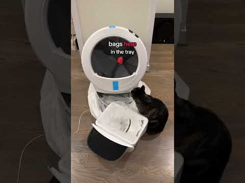 LITTER-ROBOT 4 HONEST REVIEW πππ