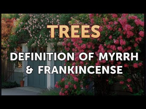 Definition of Myrrh & Frankincense