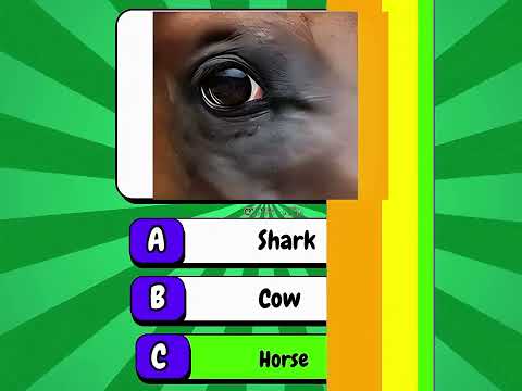 The Quiz Time videos Right the answer...#quiz #quizquestion #triviatricks #trivia #animation #fypage