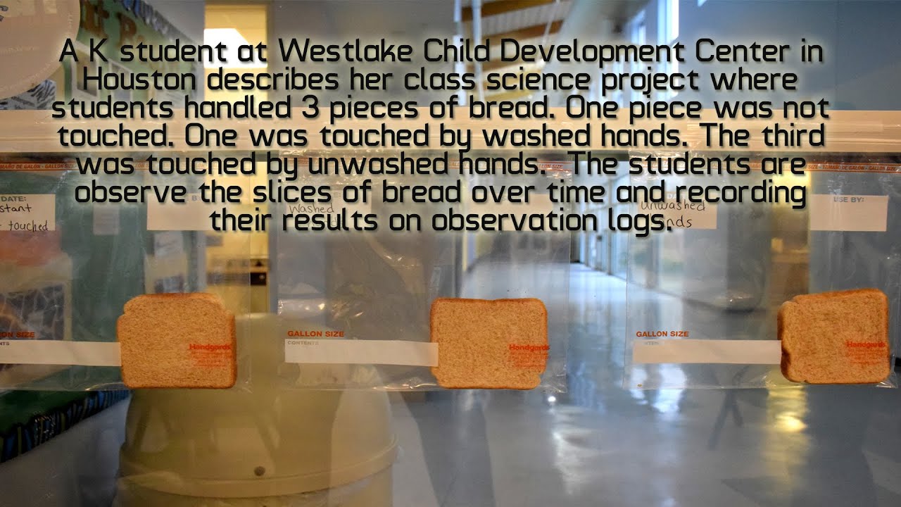 A Bread Science Experiment