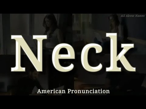 Neck: American Pronunciation, Meaning, and Usage in Sentences
