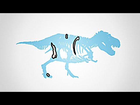 Why Most Fossils Are Incomplete