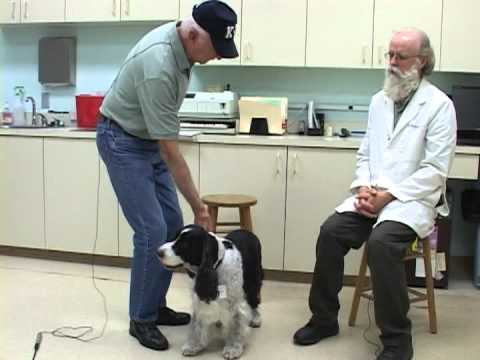 ONTV: The Animal Clinic - Episode 1