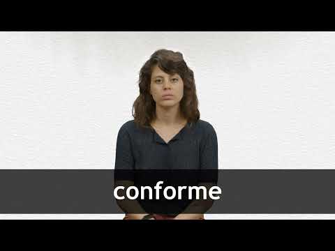 English Translation of “CONFORME” | Collins French-English Dictionary