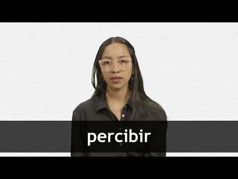 English Translation of “PERCIBIR” | Collins Spanish-English Dictionary