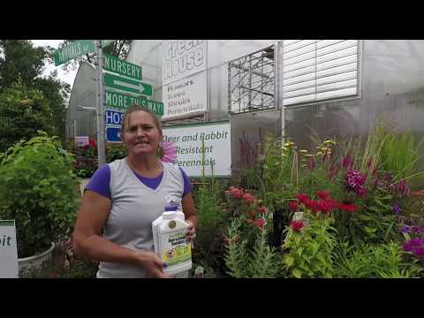Deer and Rabbit Resistant Plants & Repellents