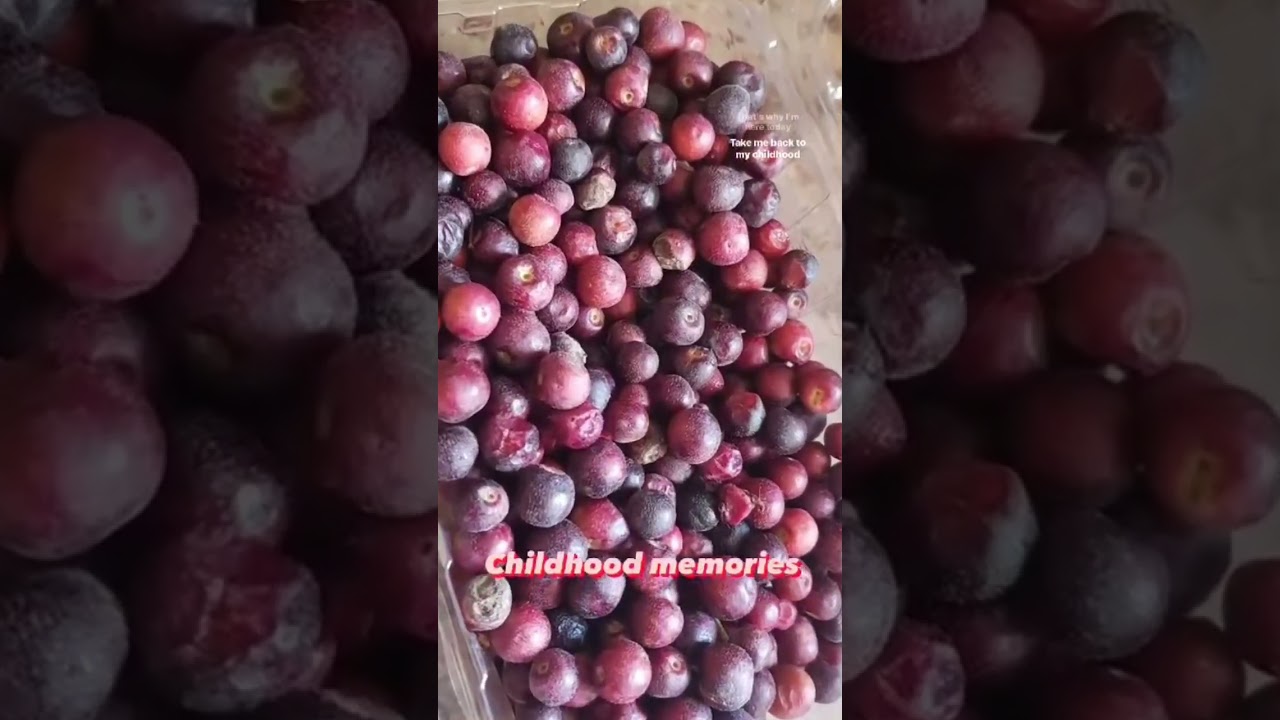 Falsa: Berry of the season. Share the fruit of the season that takes u down the memory lane.