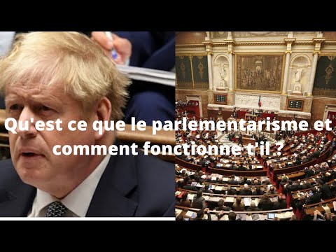 fonctionnement du parlementarisme