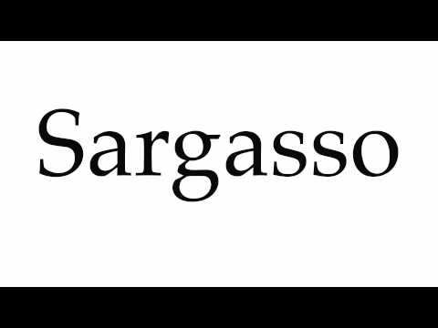 How to Pronounce Sargasso