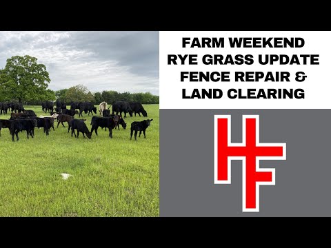 Farm Weekend-Rye Grass Update, Fence Repair using Jakes Wire Tighteners & Land Clearing with Tractor
