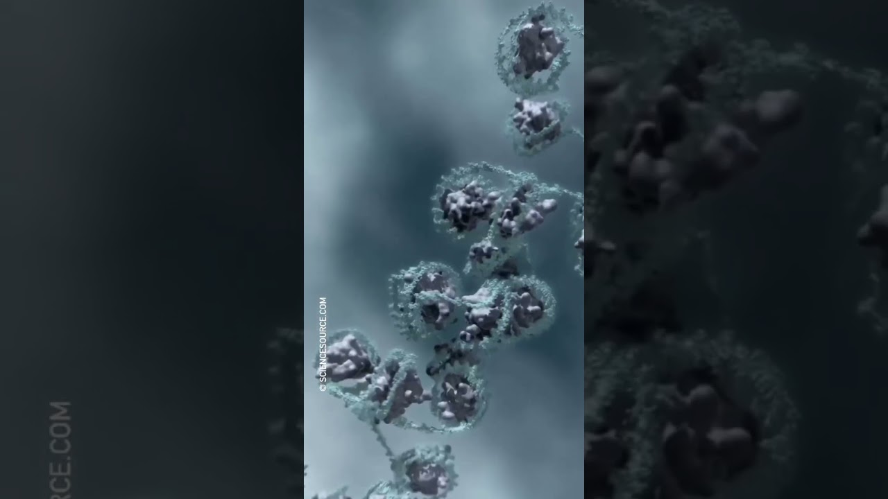 #DNA #Packaging⁠⁠ #Animation