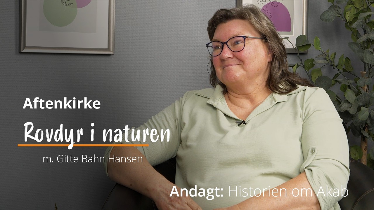 AFTENKIRKE | 15. maj 2026 | Rovdyr i naturen