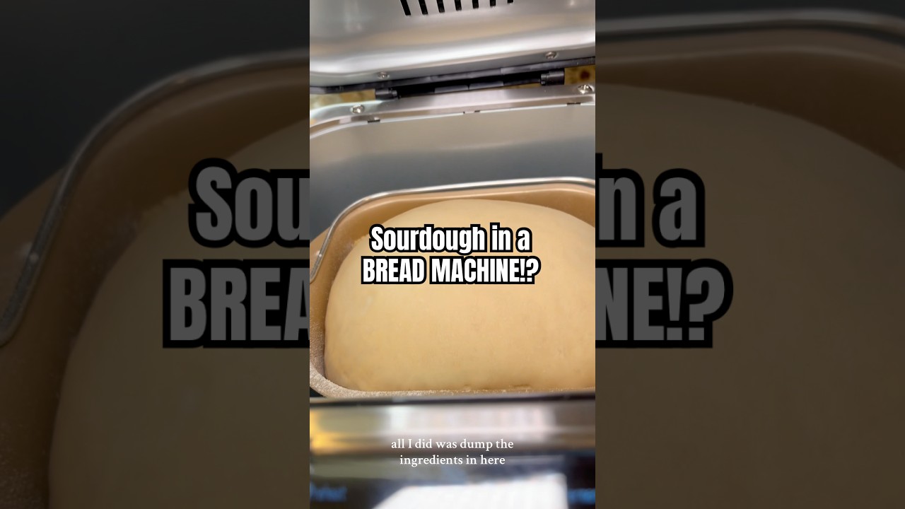 Could this change sourdough forever? #sourdough #sourdoughbread #breadmaker