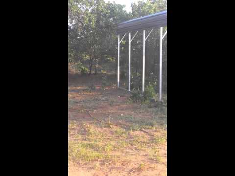 80 sparkler bomb turns into rocket