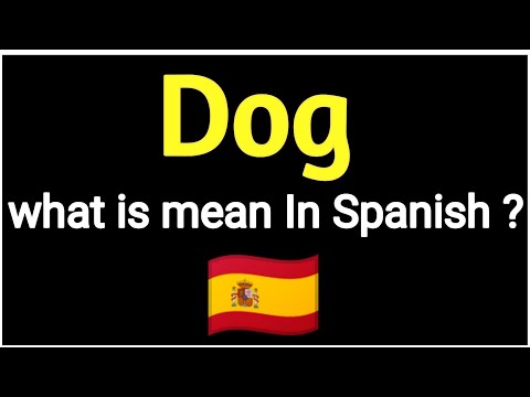 How To Pronounce " Dog " In Spanish language 🇪🇸 .