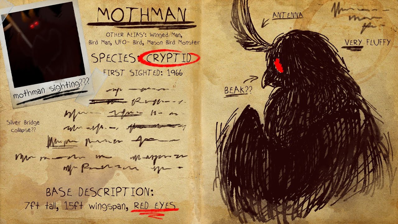 Mothman | Cryptid Catalogue