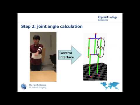 Demo: humanoid robot control system