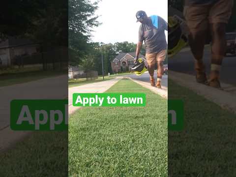 How to Apply Fertilizer #diy #yardmastery