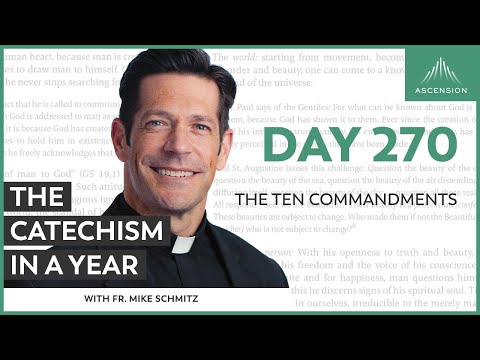 Day 270: The Ten Commandments — The Catechism in a Year (with Fr. Mike Schmitz)