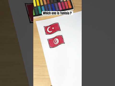 Guess a Flag #tunisia #tunisie #shorts #turkey #türkiye #youtubeshorts #flag #quiz