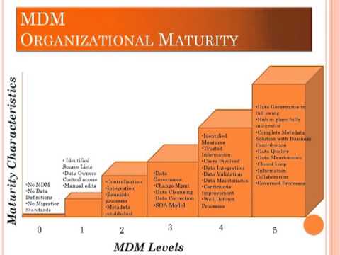 Master Data Management - Big M, Little m 'One size' Does Not Fit All
