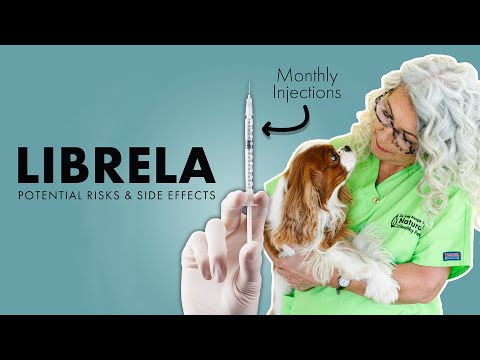 Librela💉Pain Management for Dogs with Osteoarthritis⚠️Potential Risks & Side Effects