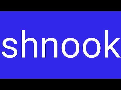Shnook Definition & Meaning