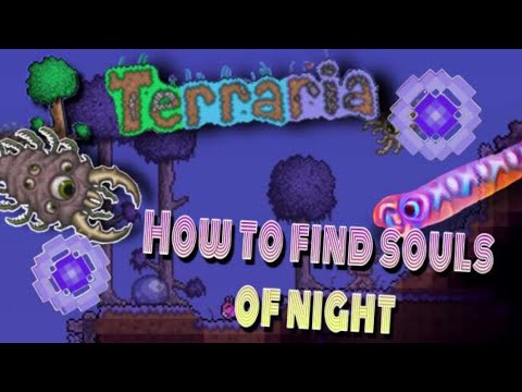 HOW TO GET SOULS OF NIGHT | TERRARIA 1.4 2020 CONSOLE